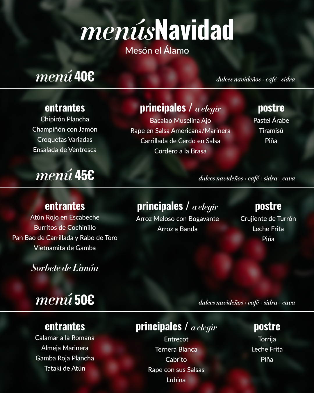 Home - Mesón el Álamo